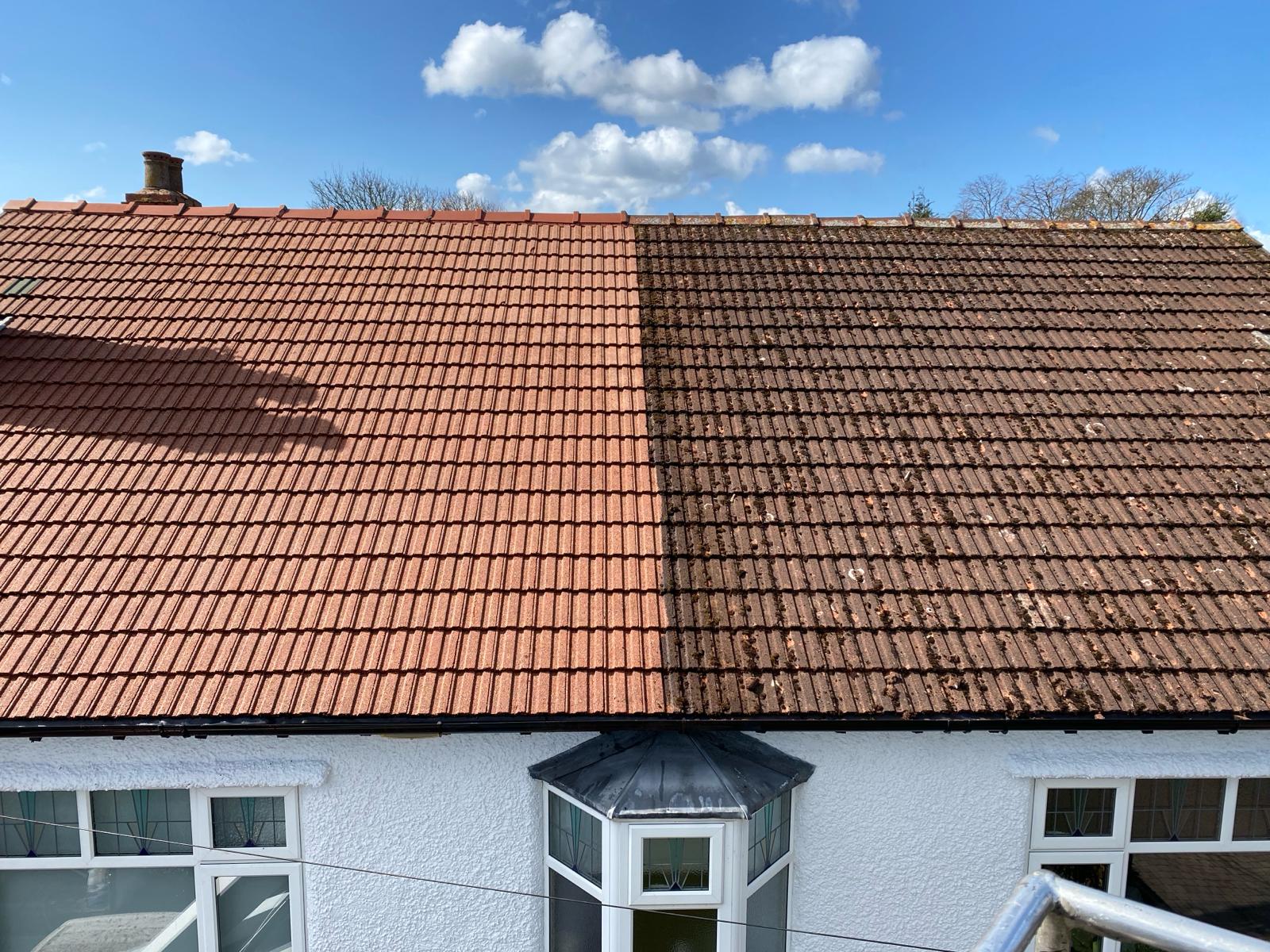 How to Spot Signs Your Roof Needs Cleaning Before It’s Too Late